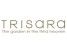 Trisara - See the Latest Projects (2024) | FazWaz